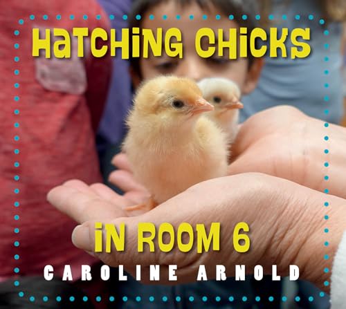 Hatching Chicks in Room 6 (Life Cycles in Room 6) | Amazon price ...