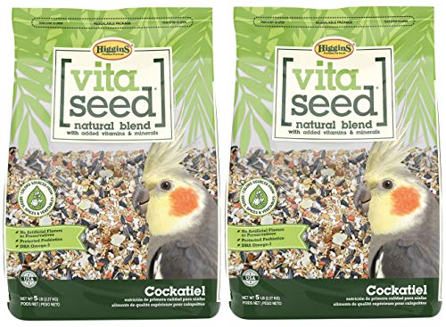 Best Seeds For Cockatiel 2024 - Vet Ranch - We Love Pets