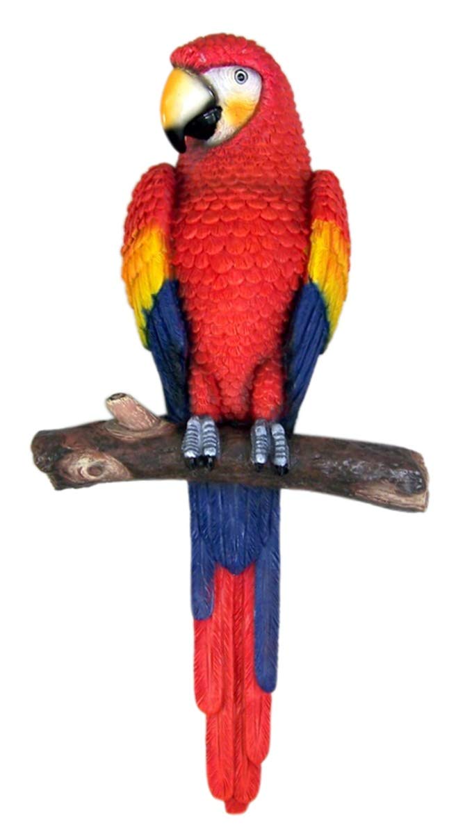 Amazon.com: Wowser Colorful Parrot Wall Mount, Wildlife Home & Office ...