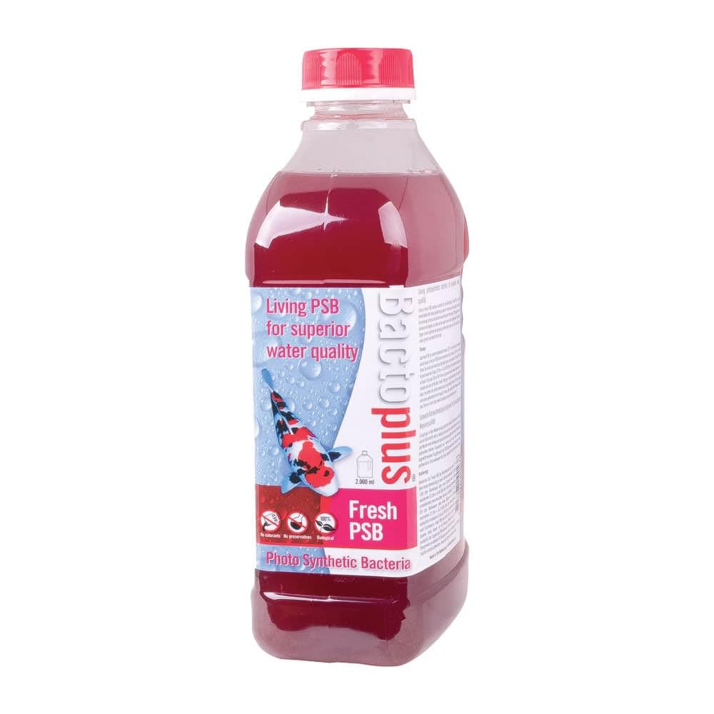 Bactoplus Fresh PSB Living Bacteria Water Treatment Koi Health Fish Pond Filter Liquid Remove ...