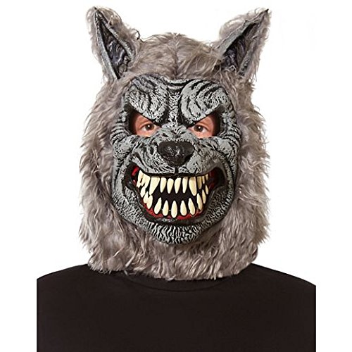 Amazon.com: Costume Beautiful Animotion Gray Werewolf Mask : Clothing ...