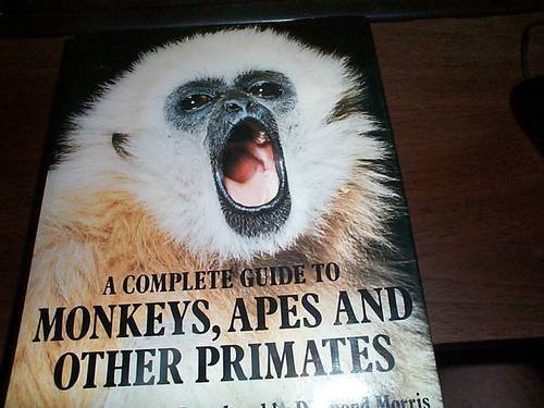 A Complete Guide to Monkeys, Apes and Other Primates: Michael Kavanagh ...