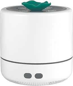 Amazon.com: 325462546Chanzivin Essential Oil Diffusers, Updated Home ...