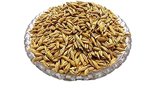 Shraddha Jaun Barley/Jaun/Whole Grain Fine Quality For Puja/Navratri ...