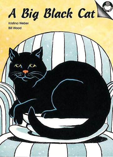 A Big Black Cat (Guided Reading Fiction): K.E. Weber: 9781863743266 ...