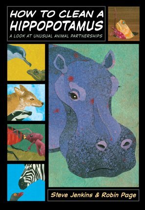 How To Clean A Hippopotamus: A Look At Unusual Animal Partnerships ...