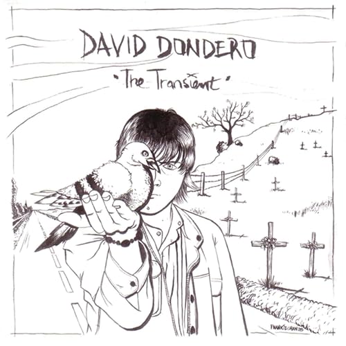 Play The Transient by David Dondero on Amazon Music