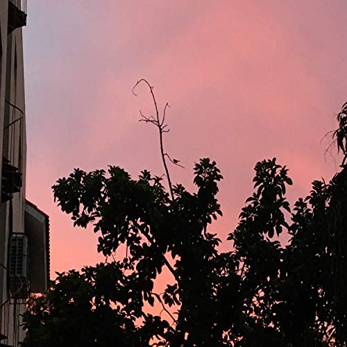 Play Memories by Kymer on Amazon Music Unlimited