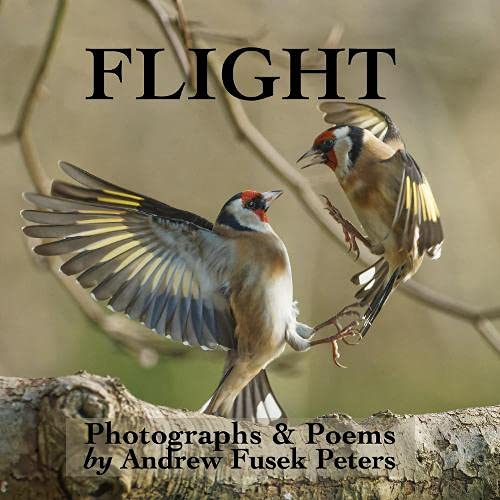 Flight: Poems & Photographs: 9781838446741: Books - Amazon.ca