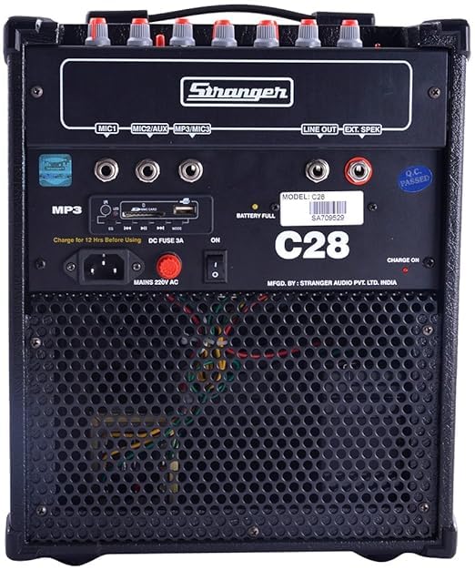 Stranger Cube C28, with Echo and Battery Backup,3 Input Guitar ...