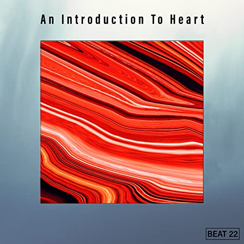 Amazon.com: An Introduction To Heart Beat 22 : VARIOUS ARTISTS: Digital ...