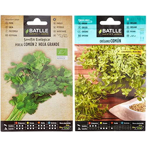 Qué hacer cuando el perejil se espiga: mejores consejos de siembra y ...