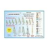 LADDERMAN 6Step Platform Type FRP Self Supported Foldable Electrical ...