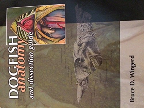 Dogfish Anatomy And Dissection Guide