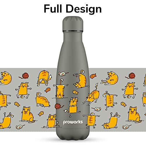 Proworks Performance Stainless SteelSports Water Bottle |Double ...