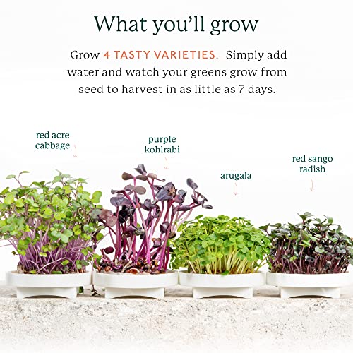 Gardyn Complete Microgreens Growing Kit (Fits on All Gardyn Hydroponics ...