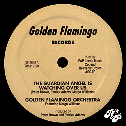 Play The Guardian Angel Is Watching over Us by Golden Flamingo ...