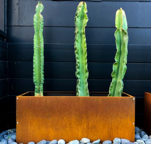 DIY CARTEL Corten Steel Planter Box Industrial & Heavy Duty – Modern ...