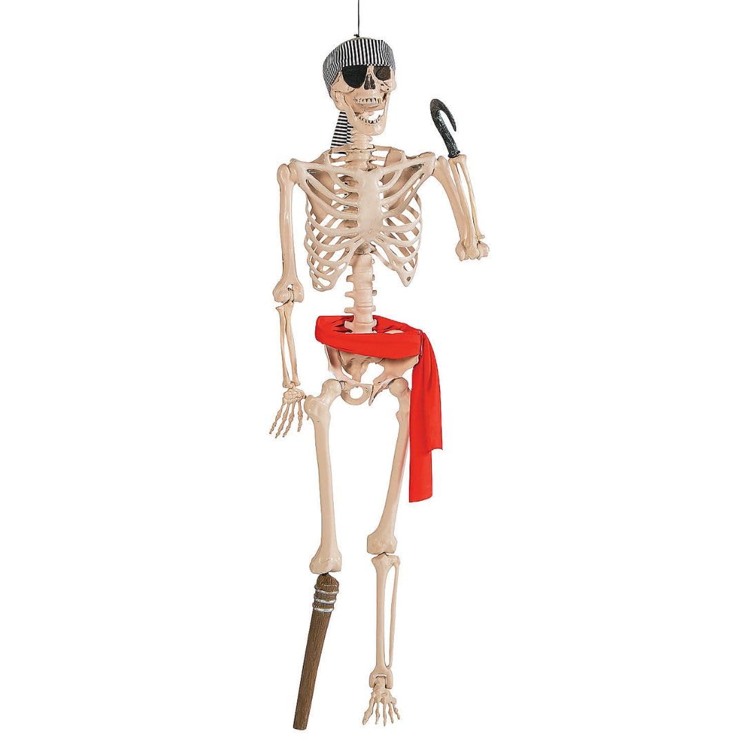 Amazon.com: Life Size Posable Pirate Skeleton (5 feet tall) Halloween ...