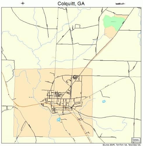 Amazon.com: Large Street & Road Map of Colquitt, Georgia GA - Printed ...