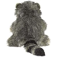 Amazon.com: Folkmanis Baby Raccoon Hand Puppet, Gray, 1 EA : Toys & Games