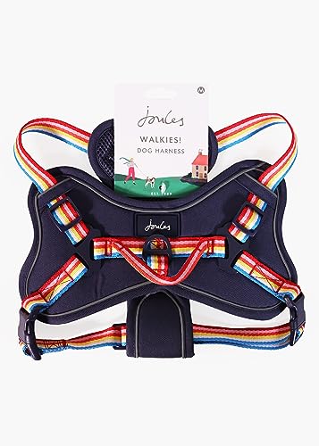 Rosewood x Joules Rainbow Harness, Medium, Reflective Trim – BigaMart