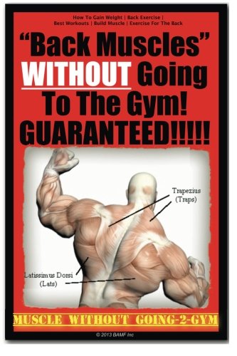 Back Muscles WITHOUT Going To The Gym! GUARANTEED! | How To Gain Weight ...