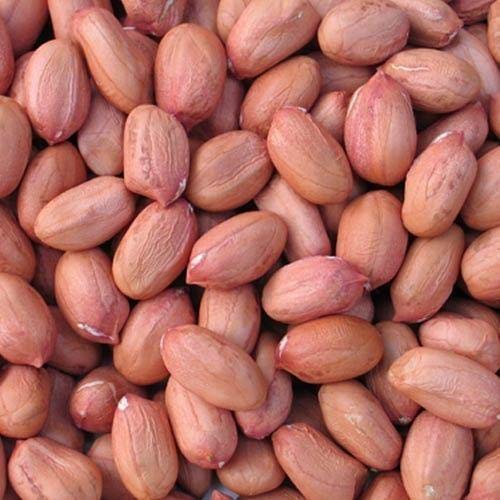 Peanut / Ground Nut 1 kg : Amazon.in: Grocery & Gourmet Foods
