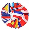 Amazon.com: 43 Pack European Country Flags, Small Flags of the World ...