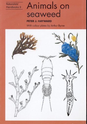 Animals on Seaweed (Naturalists' Handbook Series): 9: Amazon.co.uk ...