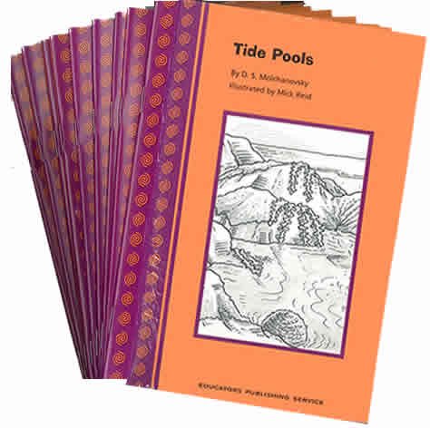 Spire Decode Set 6b Starter: Sheila Clark-Edmands: 9780838837658 ...