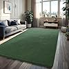 Amazon.com: Nuttumico Large Modern Area Rugs for Bedroom Living Room ...
