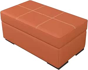 Amazon.com: zxhrybh Home Storage Bench, Sofa Ottomanwith Storage ...