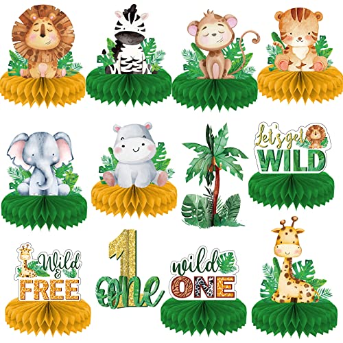 How to Plan a Wild One First Birthday Theme Party