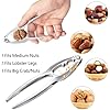 Amazon.com: Manual Nut Crackers Opener Tool with NutCrackers Chestnut ...