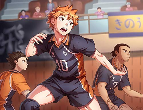 Anime Haikyu Haiky C5 Ab 18(Anime Manga Series) Poster Matte Finish ...