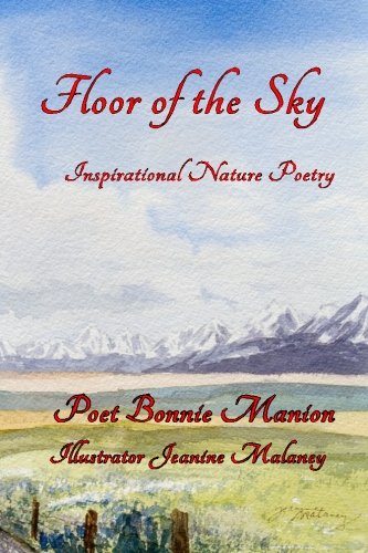 Amazon.com: Floor of the Sky: 9781480195004: Manion, Bonnie, Malaney ...