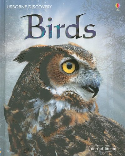 Birds (Usborne Discovery): Doherty, Gillian, Francis, Neil ...