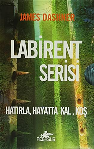 Amazon.com: Labirent Serisi Seti - 3 Kitap Takim: 9786053434320: James ...