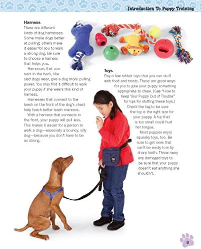 What Can I Expect From Puppy School