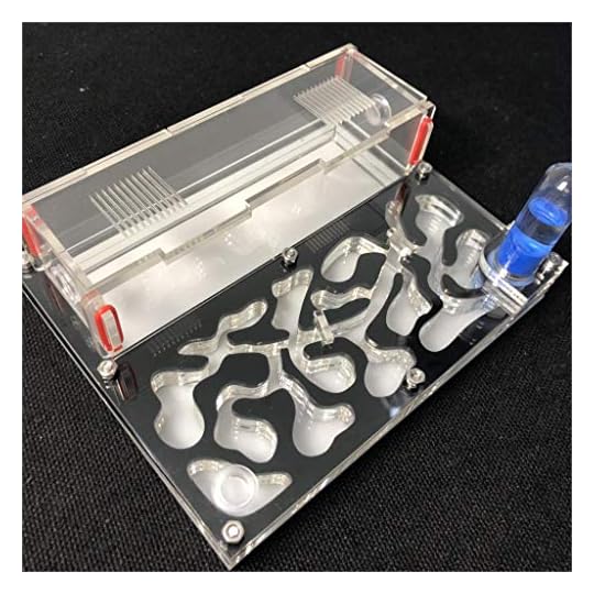 150mmx110mm Test Tube Moisture Big Space Ant Nest,Ant Farm Acrylic ...