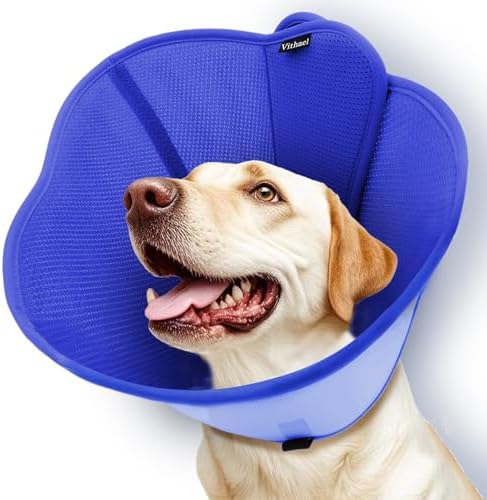Amazon.com : Vithael Upgraded Dog Cone Collar for Large Medium Dogs ...