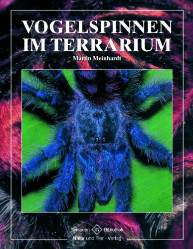 Vogelspinnen im Terrarium : Meinhardt, Martin: Amazon.de: Bücher