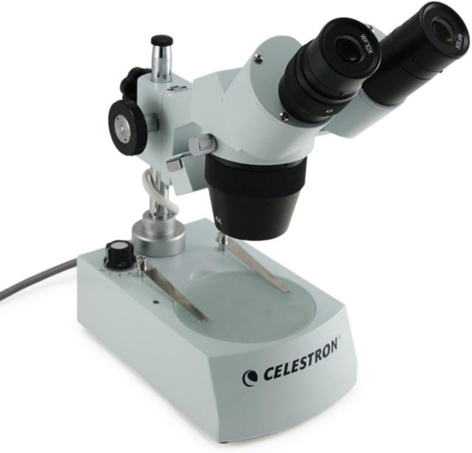 Amazon.com : Celestron 44202 Advanced Stereo Microscope : Science Lab ...