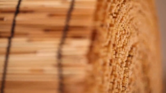 Watch Bamboo Reed Roll Up on Amazon Live