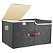 TYEERS Extra Large Storage Box with Lids and Compartments, Collapsible ...