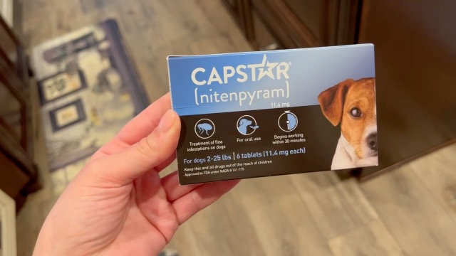 Watch Effective flea treatment Capstar for dogs review on Amazon Live