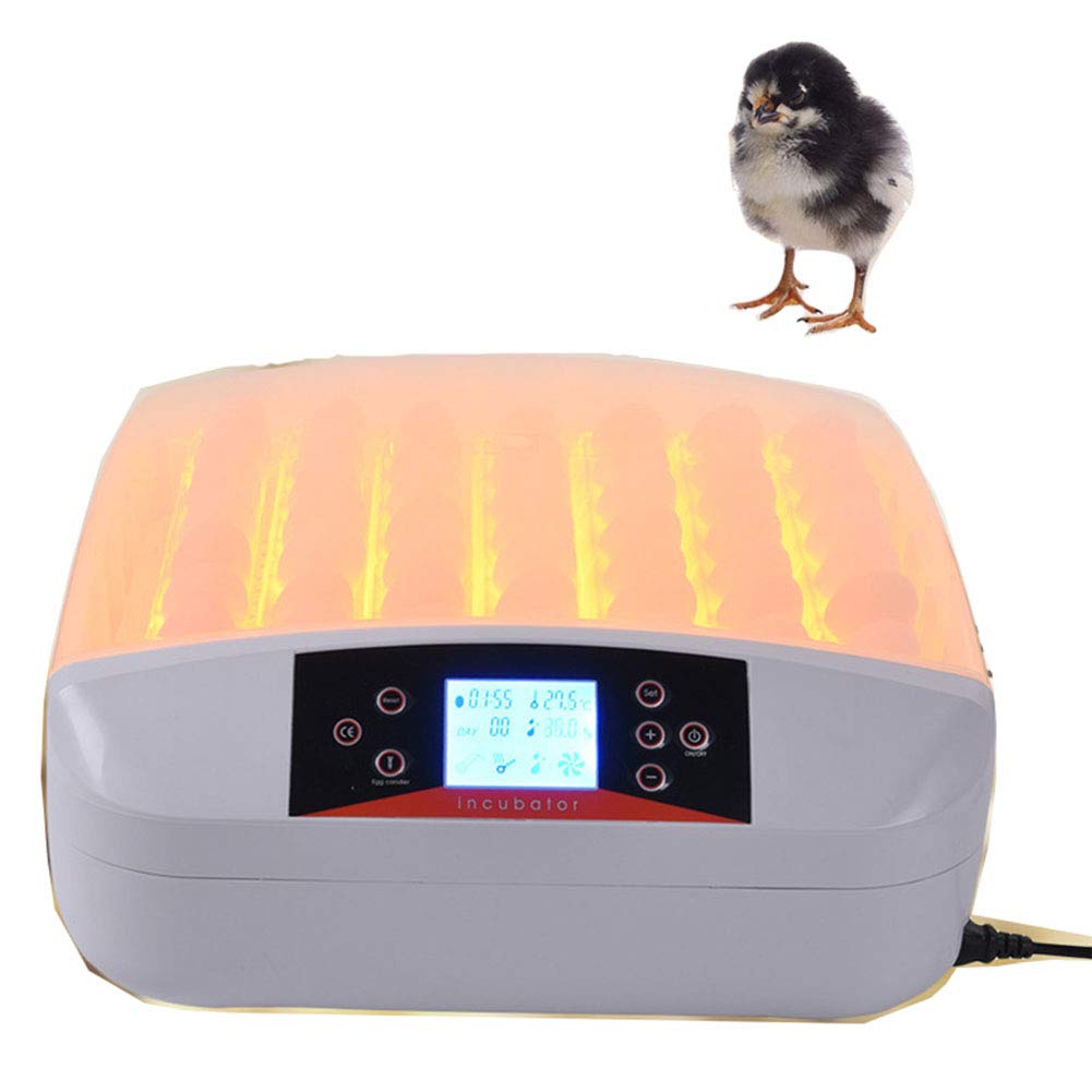 Buy Automatic Chicken Quail 32 Egg Incubator for Duck Goose Parrot ...