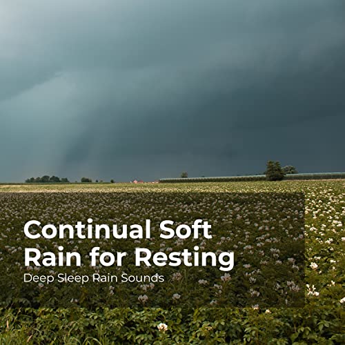 Amazon.com: Continual Soft Rain for Resting : Deep Sleep Rain Sounds ...