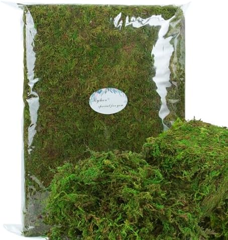 Amazon.com: ZYAPA 35 OZ Moss for Potted Plants Fake Moss for Fake ...